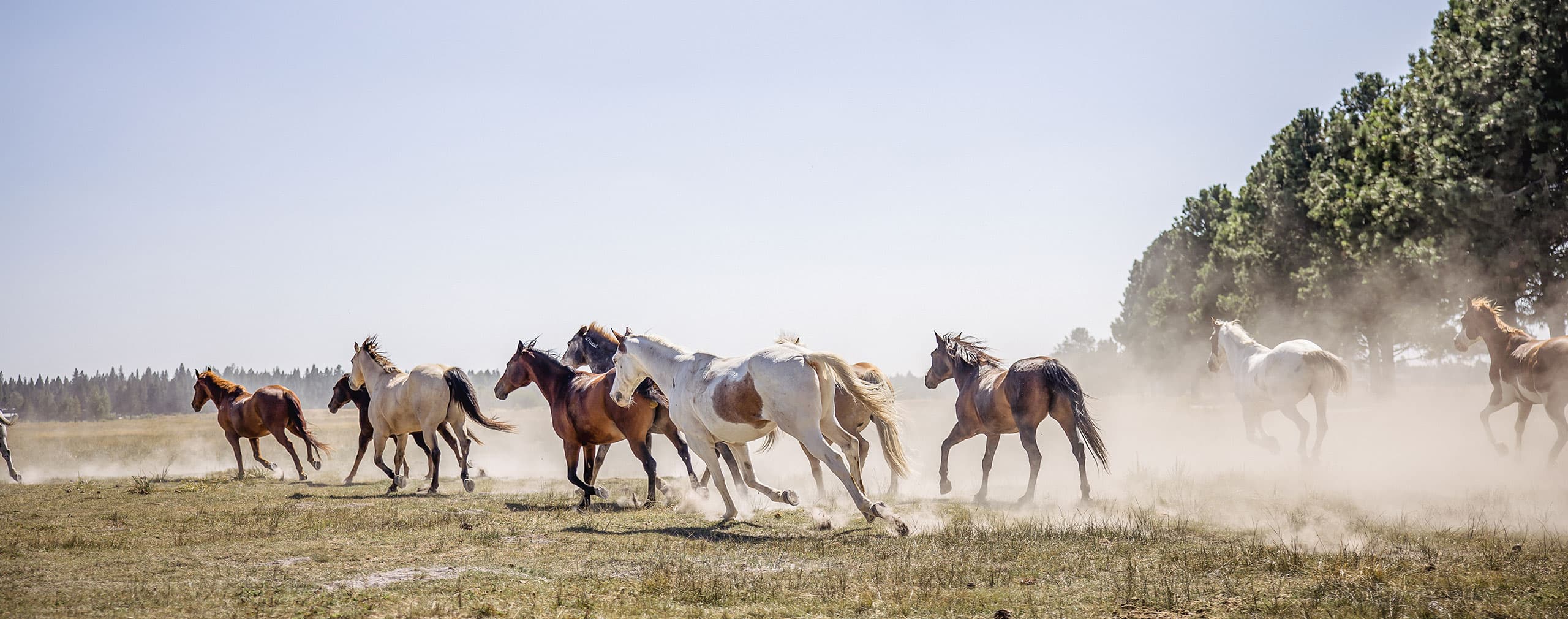 Photo Op Tour | The Stables - Sunriver Resort