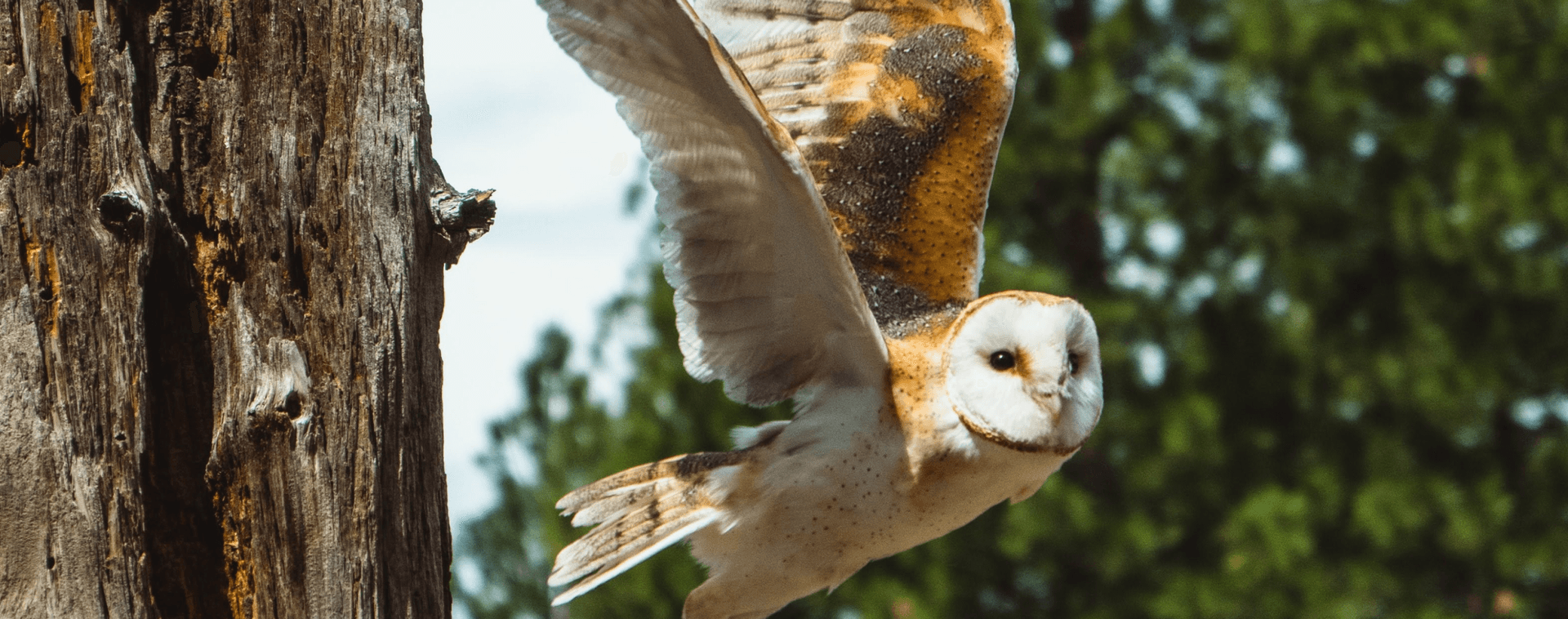 Nature Center | Exhibits & Educational Programs