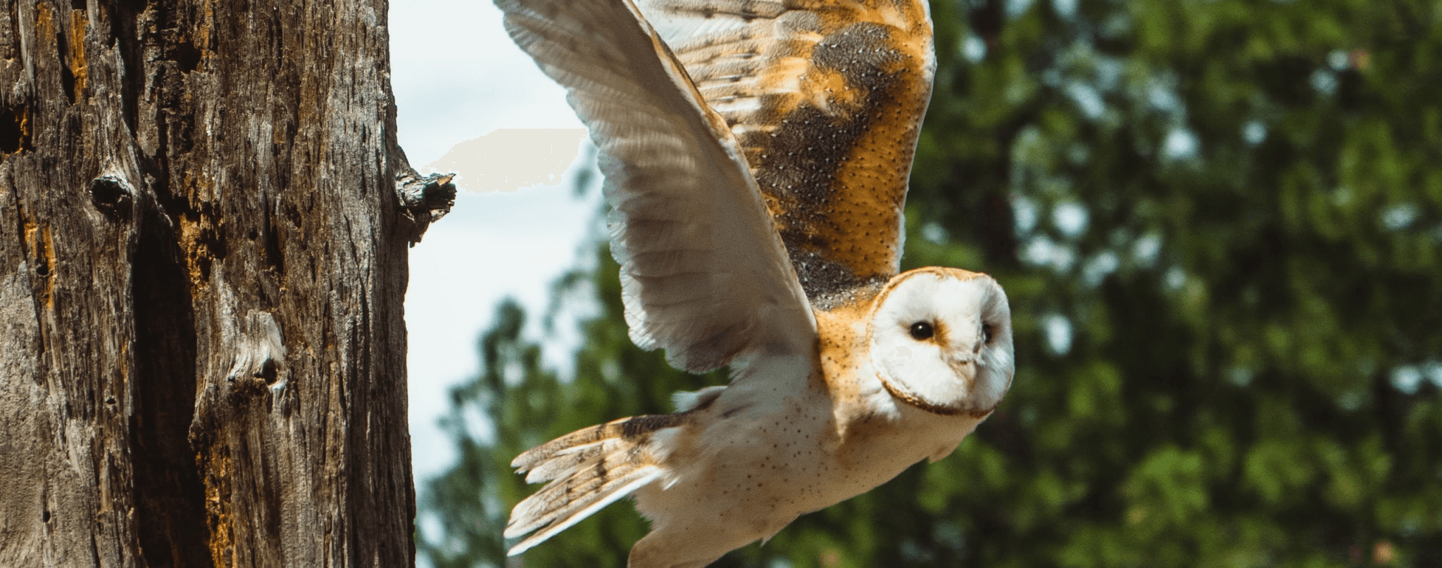 Nature Center | Exhibits & Educational Programs