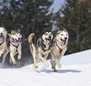 Snow Activities | Winter at Sunriver & Mt. Bachelor