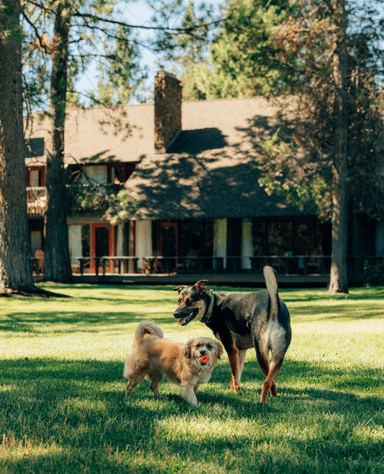Sunriver Homes | Vacation Rentals Moments from Bend
